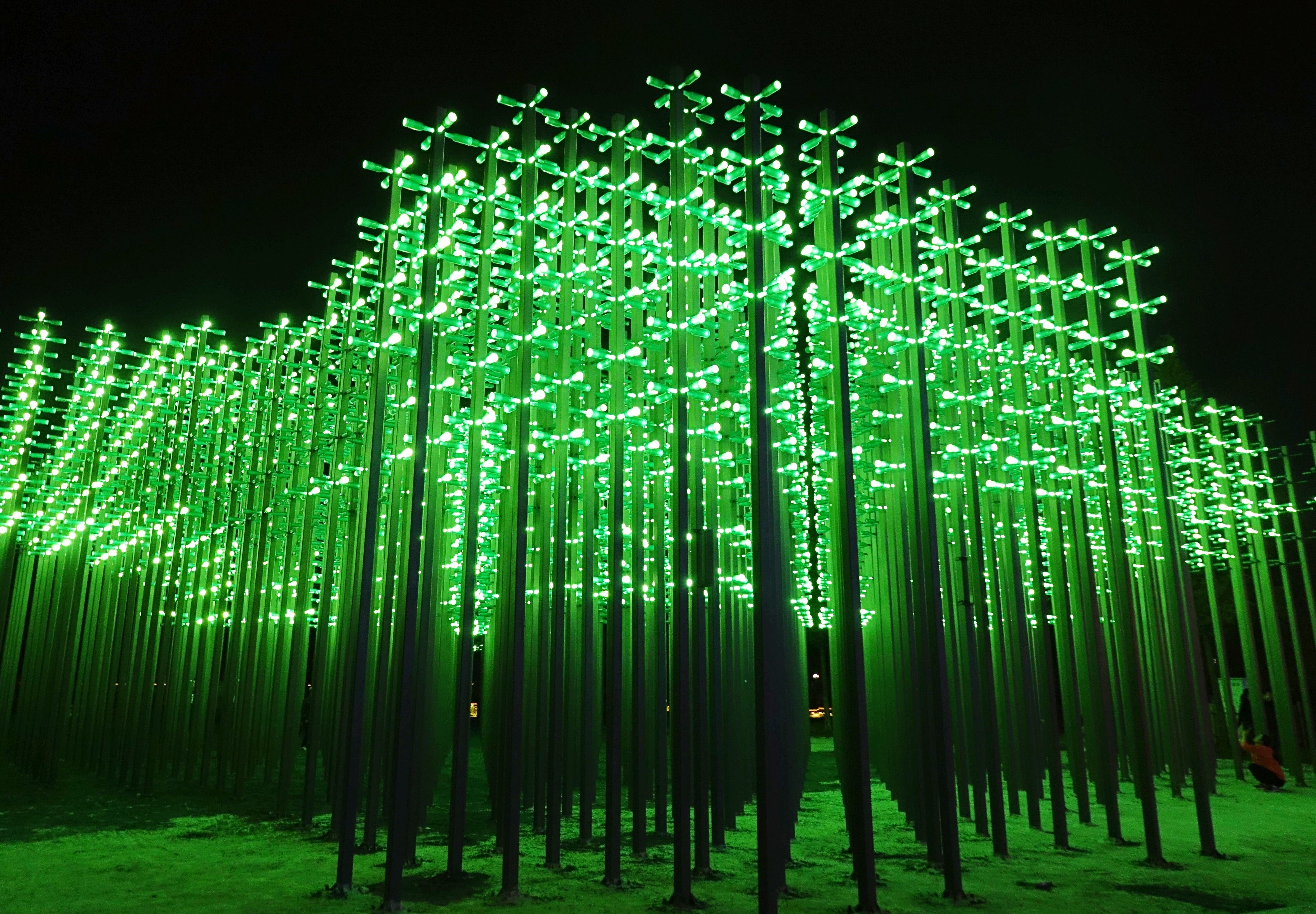 Brewery creates a beer bottle forest in China | Travel News | Inshorts