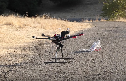 Drone to capture stray drones made