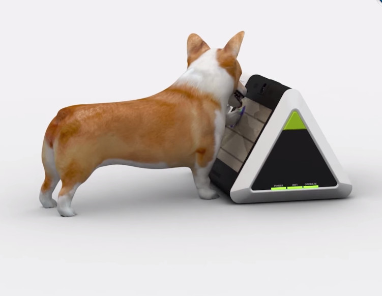 Dog PC developed to let dogs play games | Technology News | Inshorts