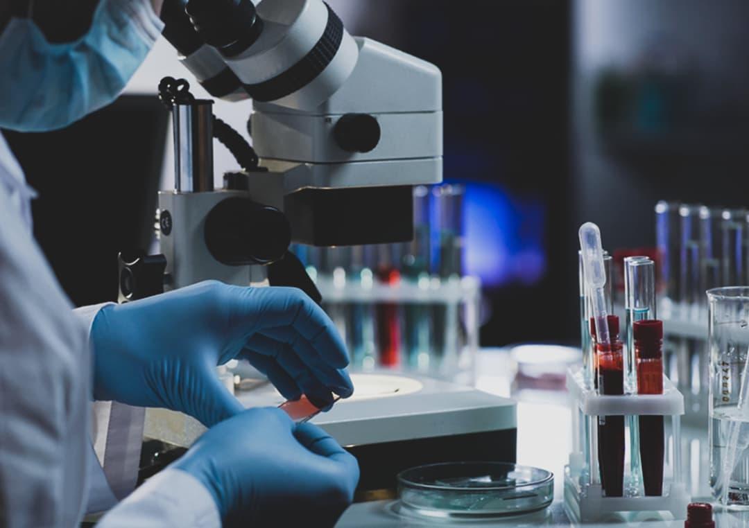 Delhi govt gets HC notice over illegal pathological labs | National ...