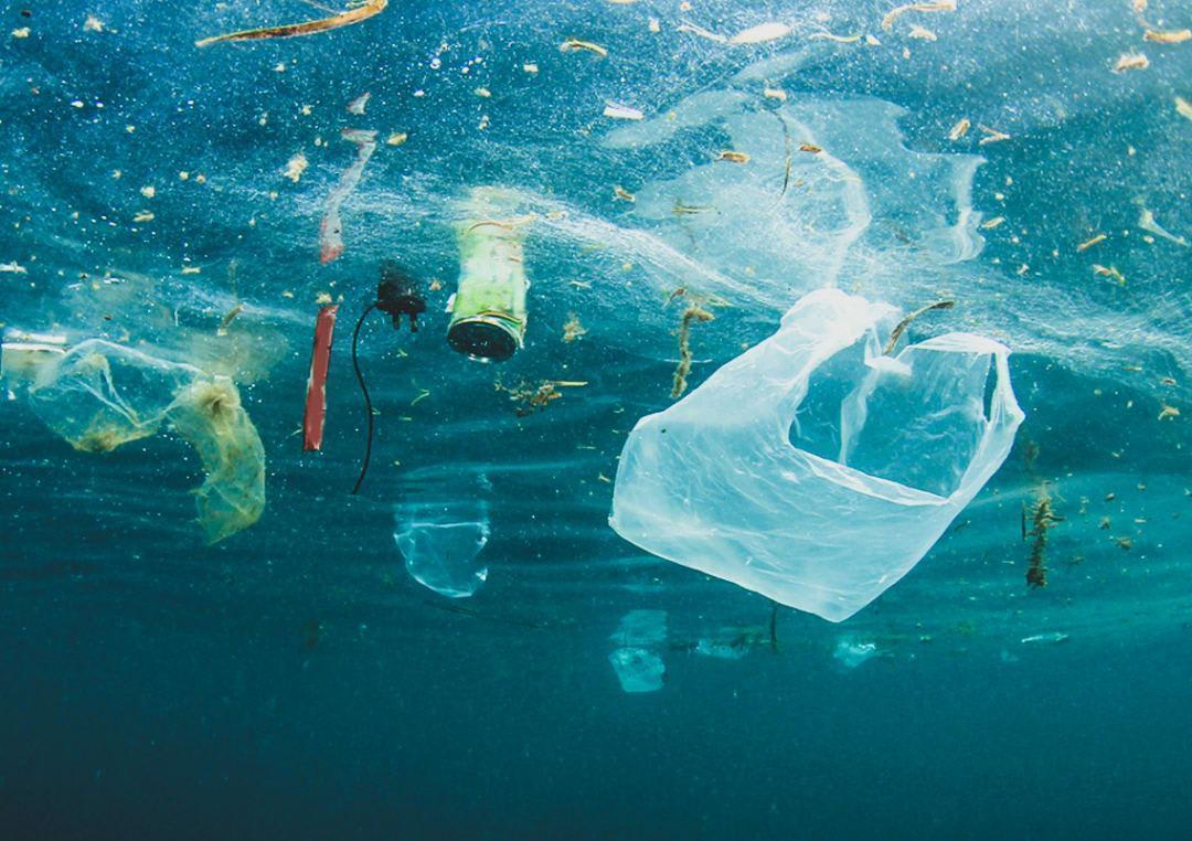 More microplastics in Earth's deepest point than sea surface: Study ...