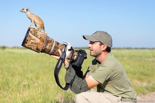Drones are no worse than cameraman: UK wildlife photographer