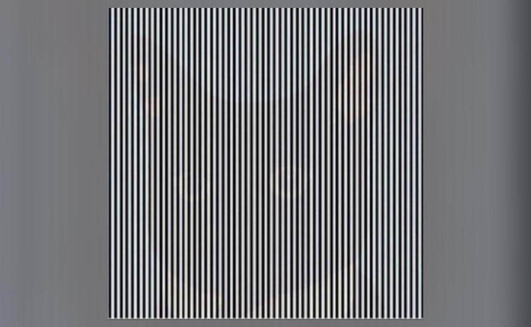 Optical illusion of animal hiding behind vertical lines goes viral ...