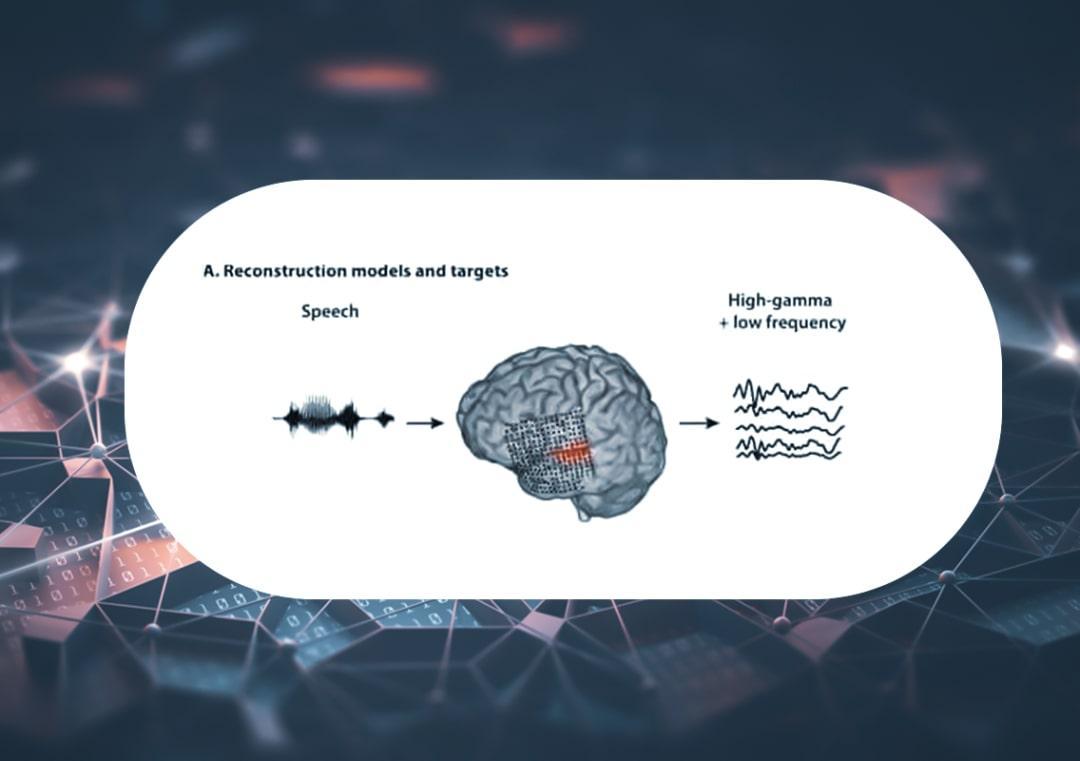 Brain signals converted directly into speech using AI: Study | Science ...