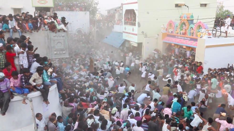 Andhra villagers throw cow dung at each other to mark Pidakala War