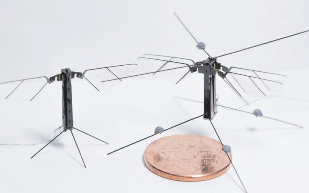 Insect-like four-winged robot that weighs only 95 mg created ...