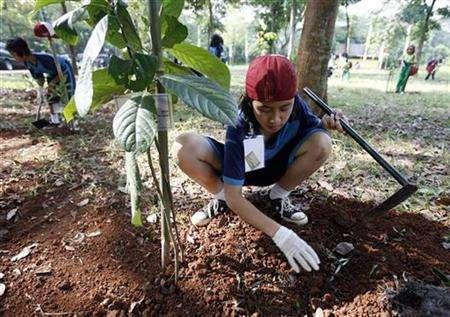 Philippine students to plant 10 trees to graduate under proposed law ...