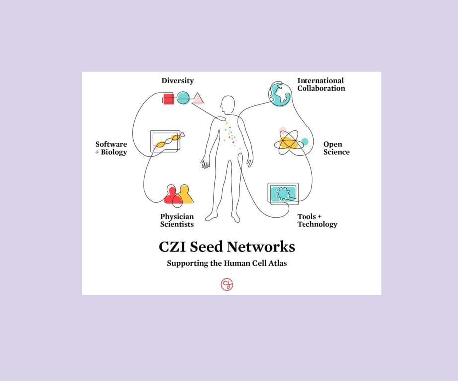 Chan Zuckerberg Initiative gives $68 mn to fund Human Cell Atlas ...